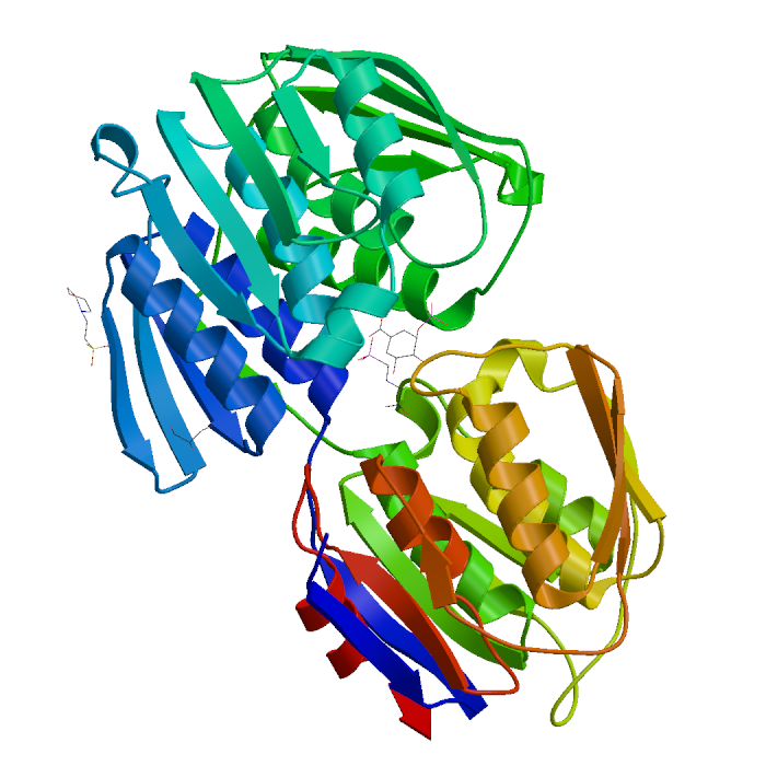 8umn 1 Swiss Model Template Library